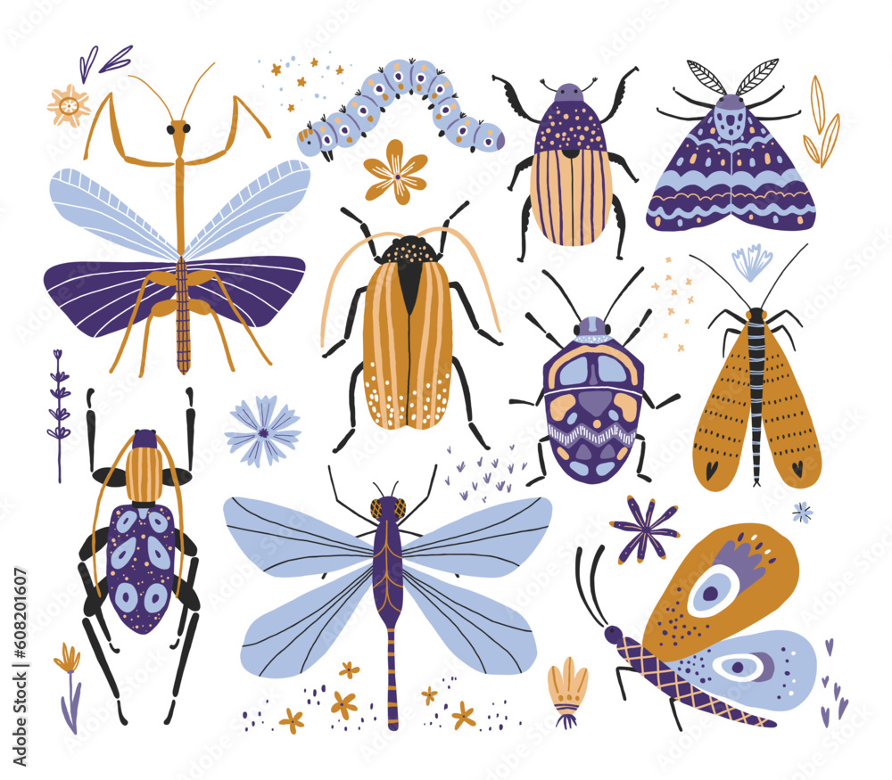 Stylized hand drawn insects set Stock Vector | Adobe Stock