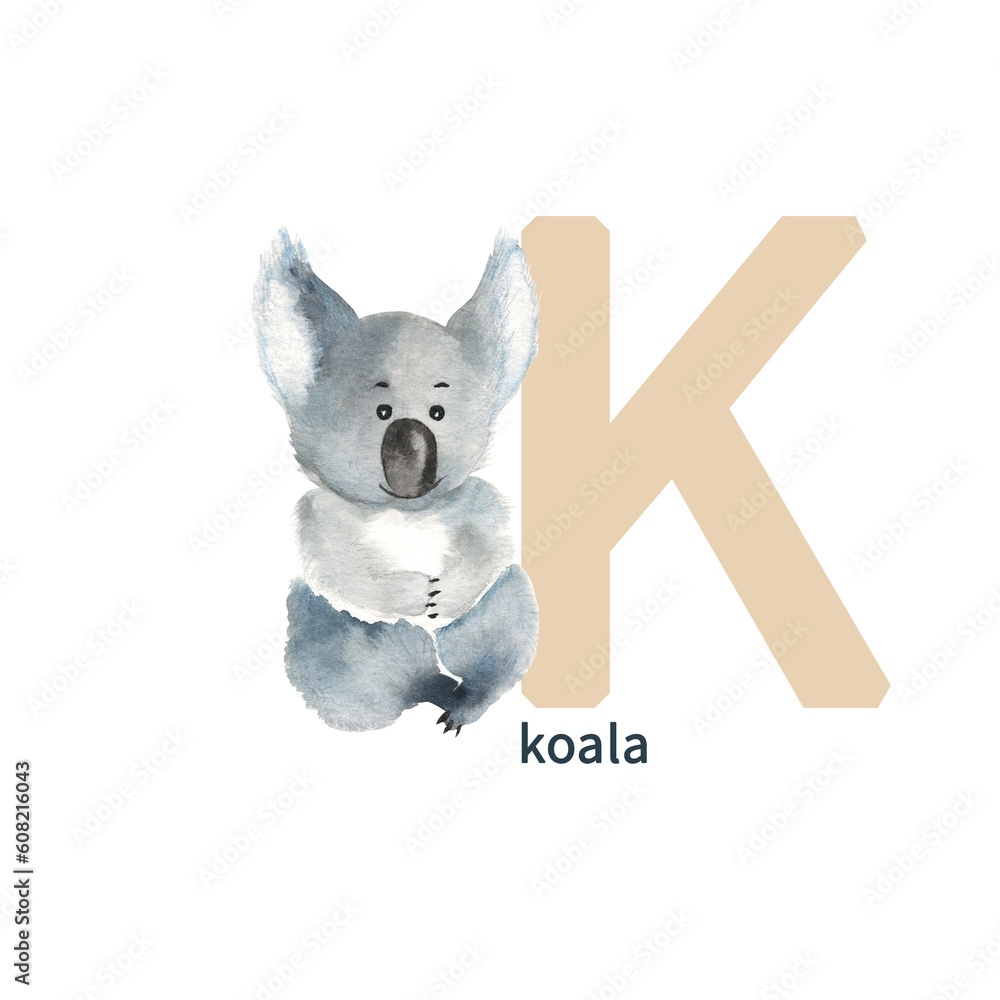 Letter K, koala, cute kids animal ABC alphabet. Watercolor illustration ...