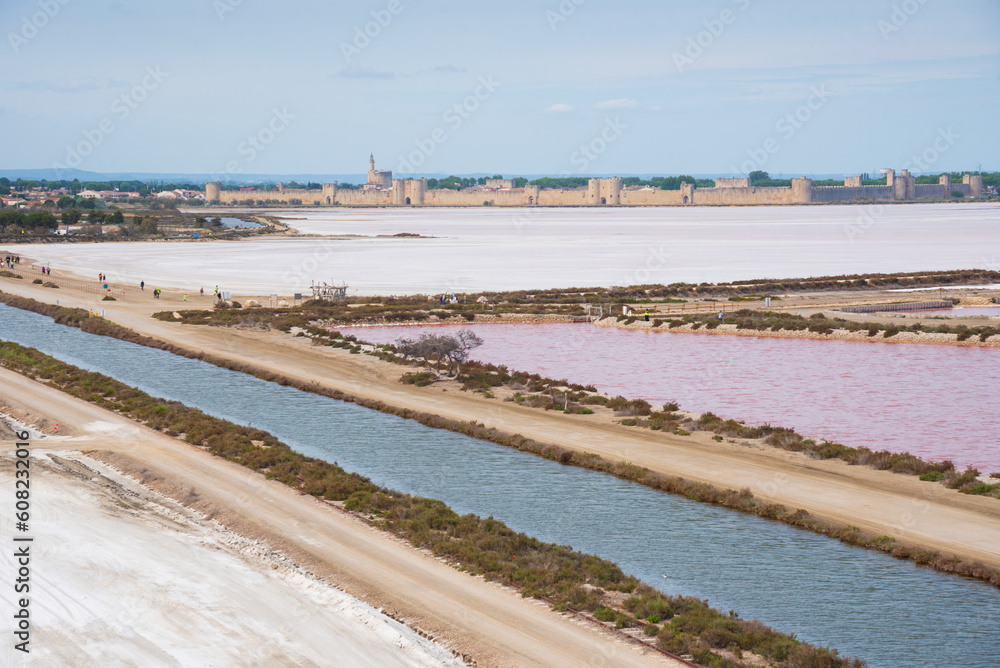 Pink salt marshes landscape near Aigues-Mortes, France. Medieval town ...