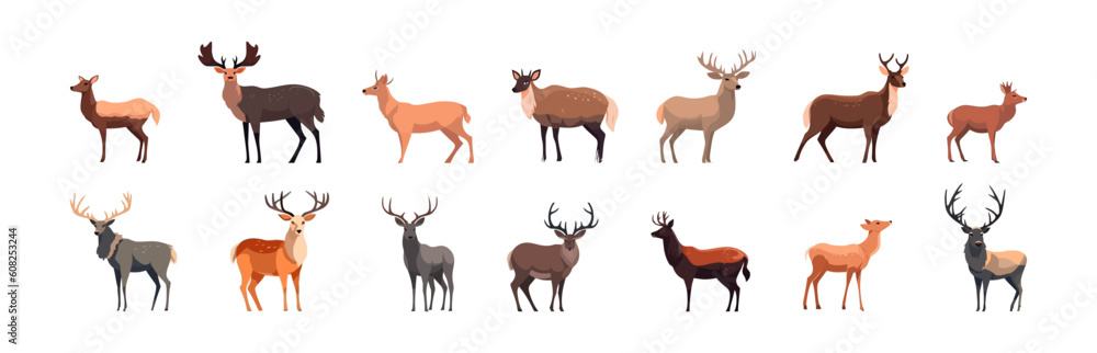 Set of deer, flat cartoon isolated on white background. Vector ...