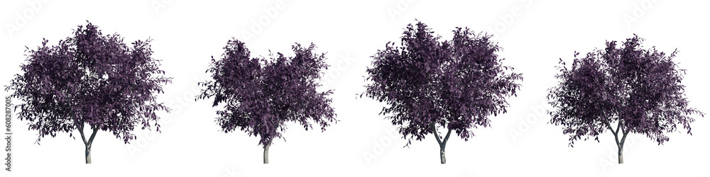 Photorealistic 3D render of trees in autumn on transparent background ...