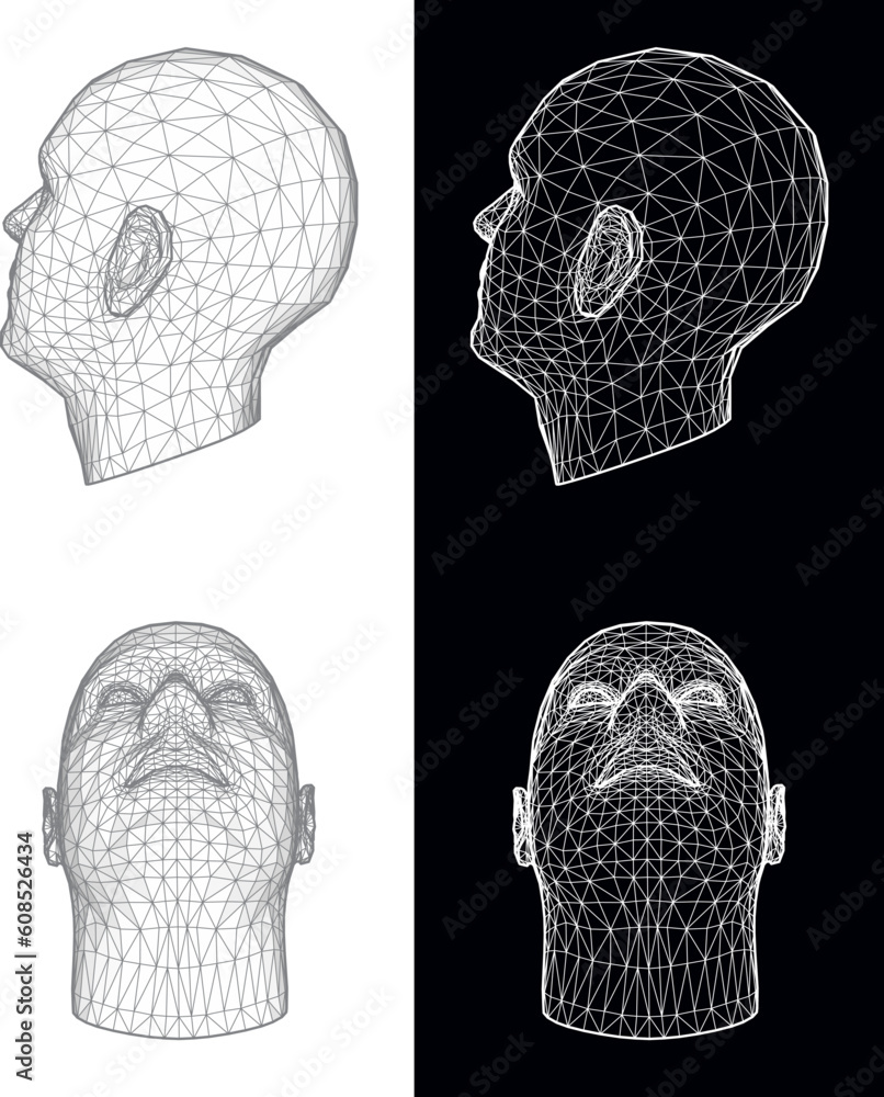Set of two wireframe views of a human head at different angles on white ...
