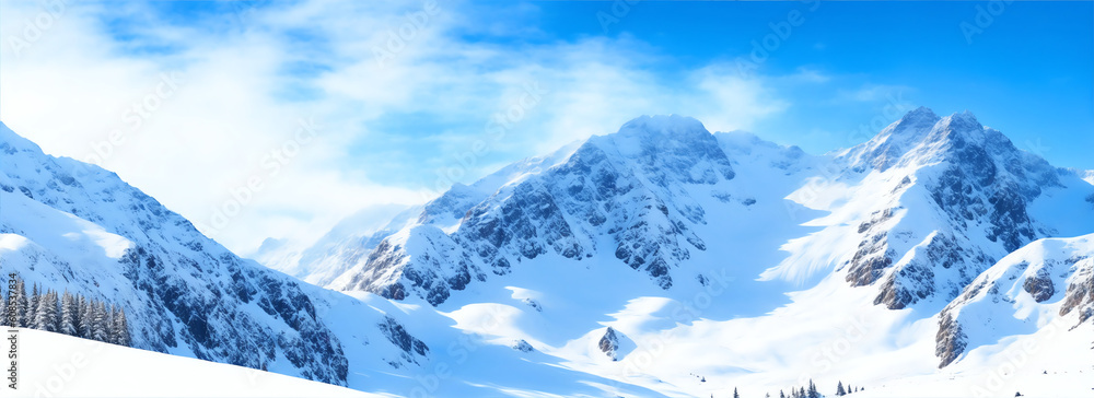 Snowy Mountain Banner