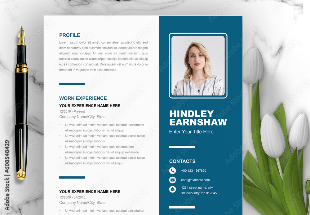 Computer System Company Resume Design Template Stock Template | Adobe Stock