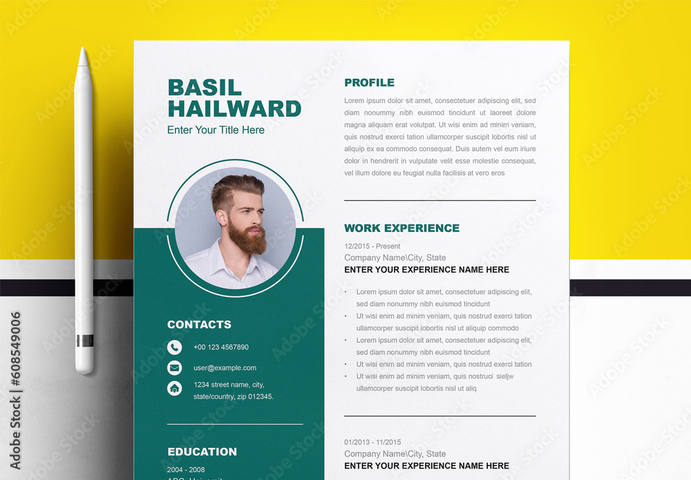 Pro Resume Design Template Layout Stock Template | Adobe Stock