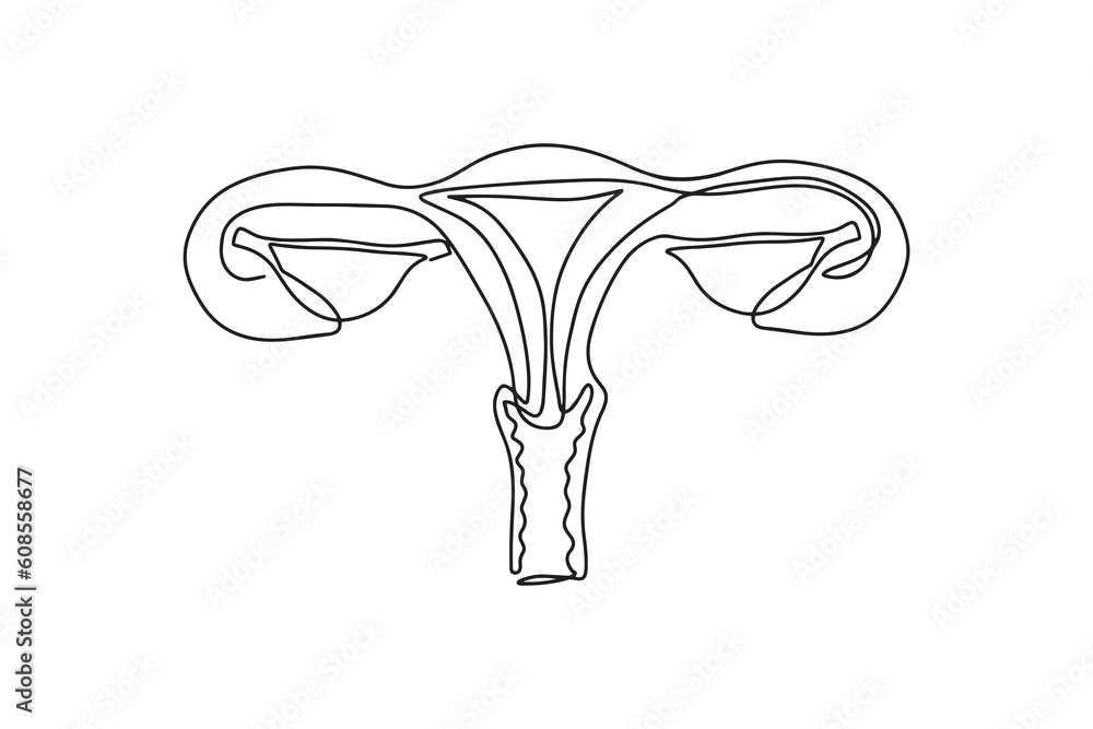 Modern Flat Line Female Reproductive System Vector Icon Uterus With