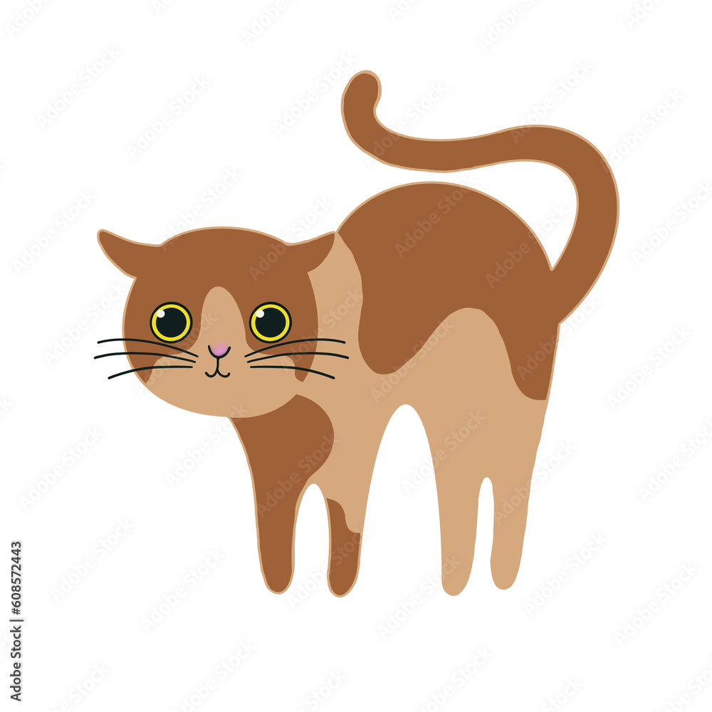 The cute little cat was shocked by something. long tailed brown cat ...