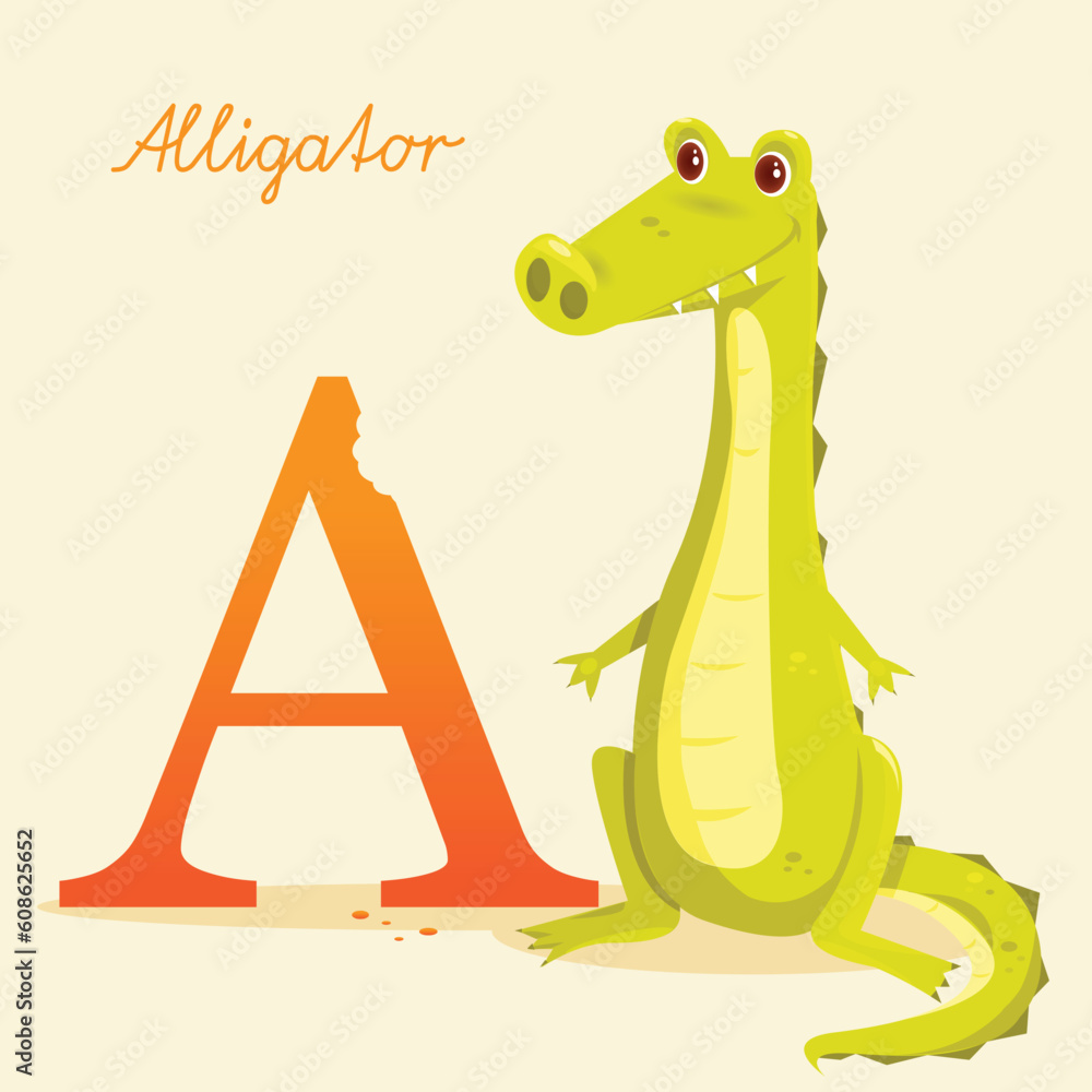 Animal alphabet with alligator, vector illustration Stock Vector ...