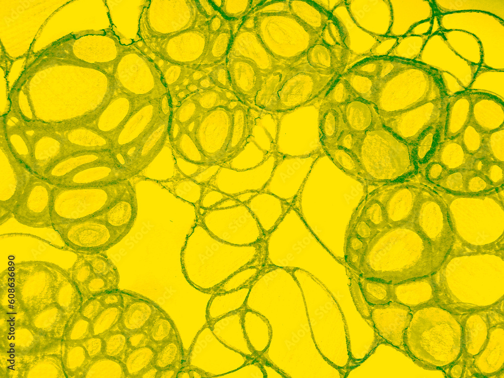 Seafoam T-Cell. Lime Vaccine Virus. T Lymphocytes. Jade Stem Cells ...