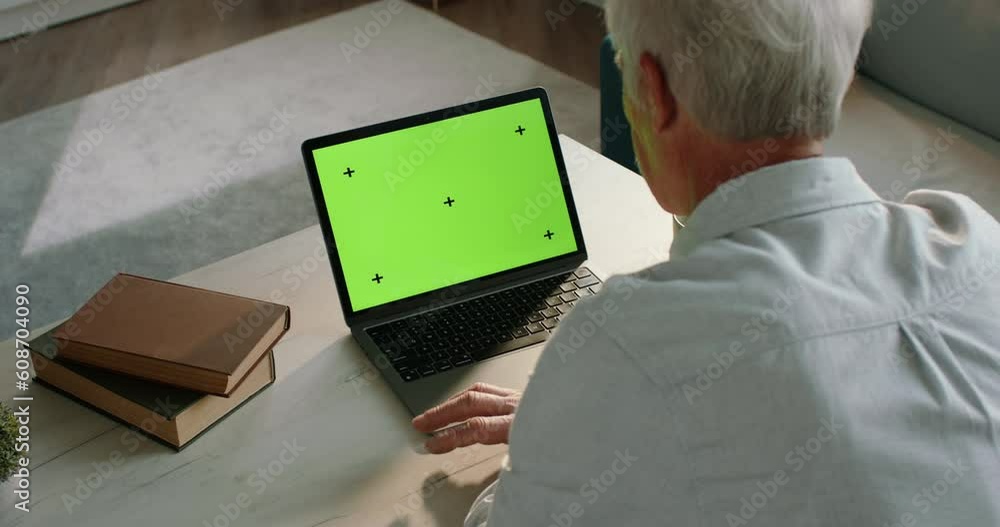 Back view old business man having video call on laptop green screen ...
