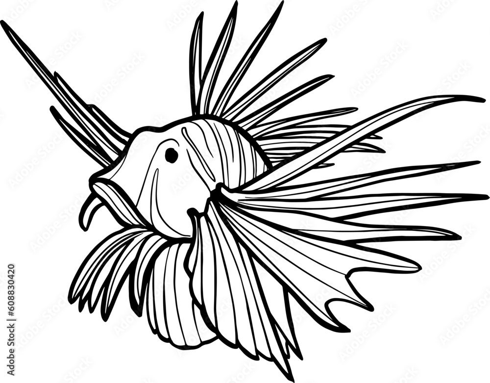 Lion fish. Line art vector illustration. Sea and ocean animals, modern ...