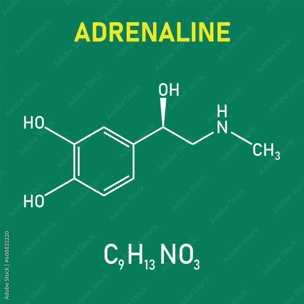 Vecteur Stock Chemical structure of Adrenaline or epinephrine (C9H13NO3 ...