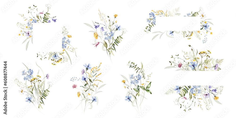 Wild field herbs flowers. Watercolor floral collection set - bouquets ...