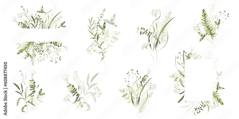 Wild field herbs flowers. Watercolor collection set - bouquets, borders ...