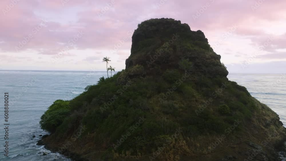Close up view on two tall green palm trees on scenic green Chinamans ...