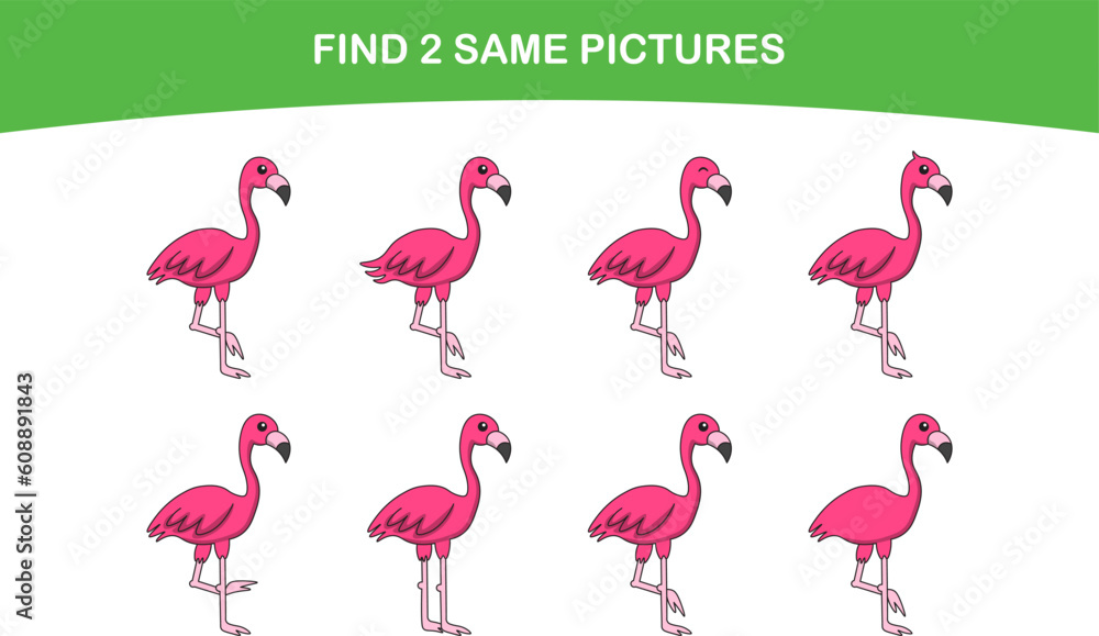 Cute flamingo bird. Find two same pictures. Educational game for ...