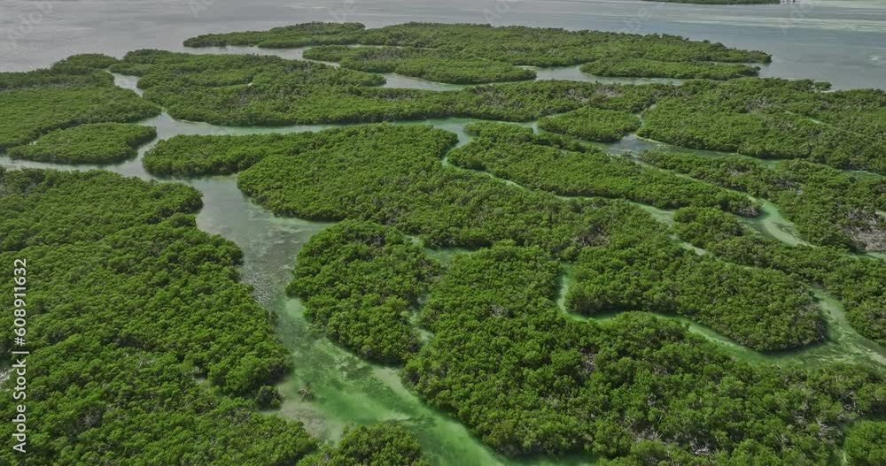 Key West Florida Aerial v23 birds eye view drone flyover massive ...