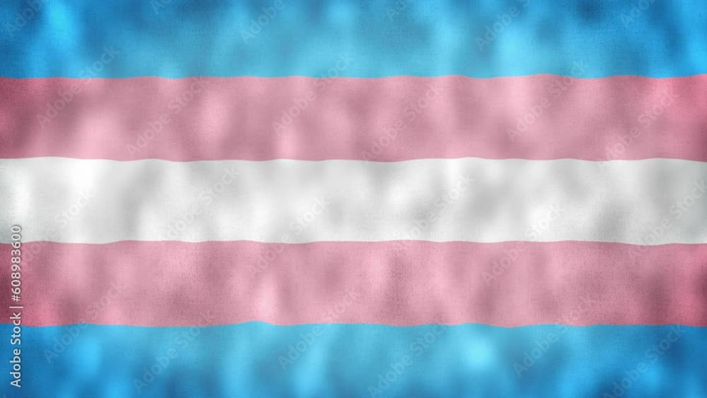 Transgender Flag. Seamlessly looping 2D animation of Transgender Pride ...