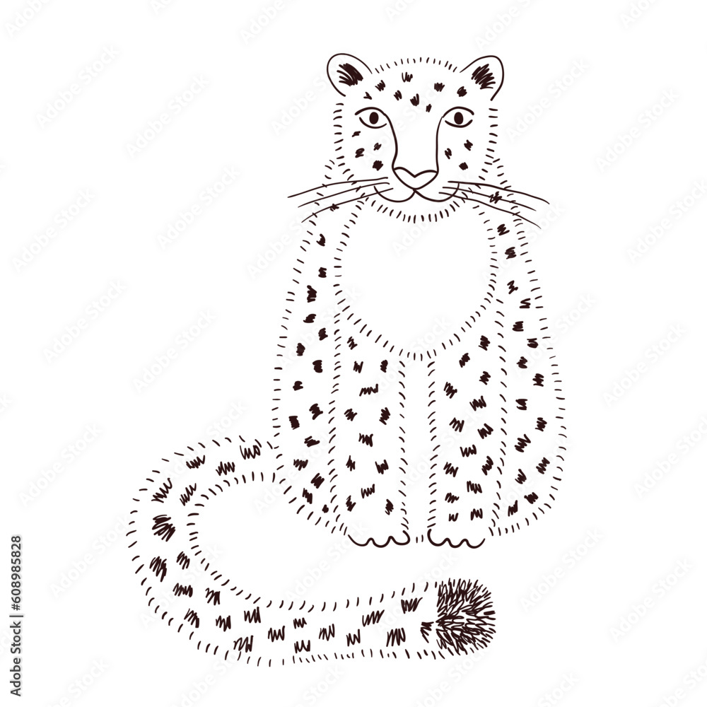 Cute sitting snow leopard hand drawn cartoon character illustration ...