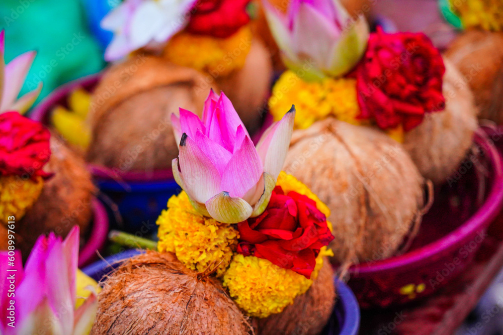 Pealed coconuts, lotus , rose and other flowers prepared for pooja ...