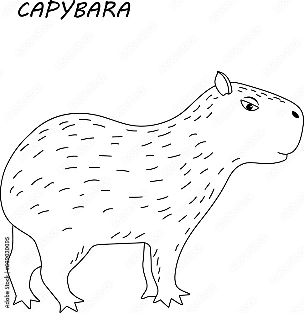 Cute capybara. Black and white illustration. Coloring page. Stock ...