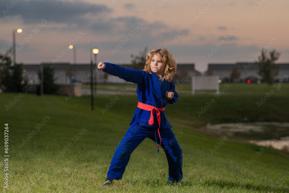 Kid boy practicing martial arts outdoor. Sport karate kids. Little boy ...