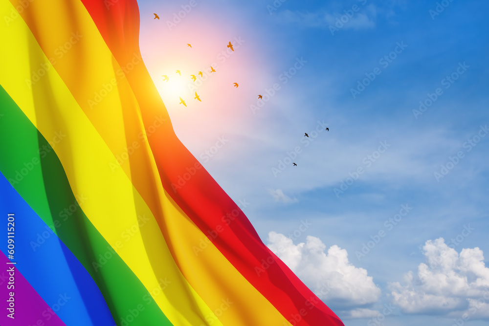 Waving LGBT pride flag on the blue sky with flying birds, rainbow flag ...