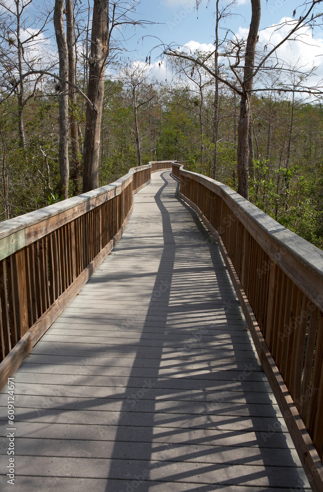 Elevated Wood Walkway Plank