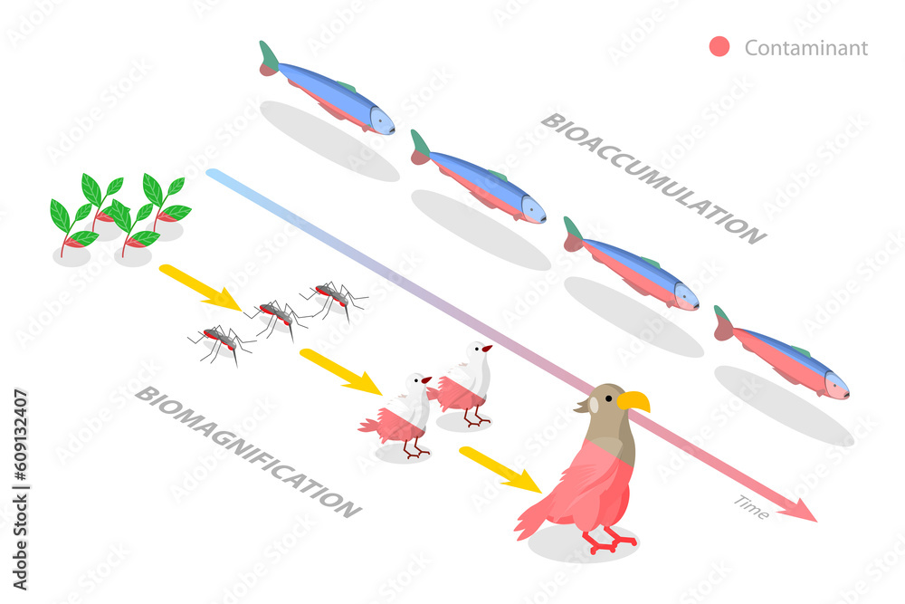 3D Isometric Flat Conceptual Illustration of Difference between ...