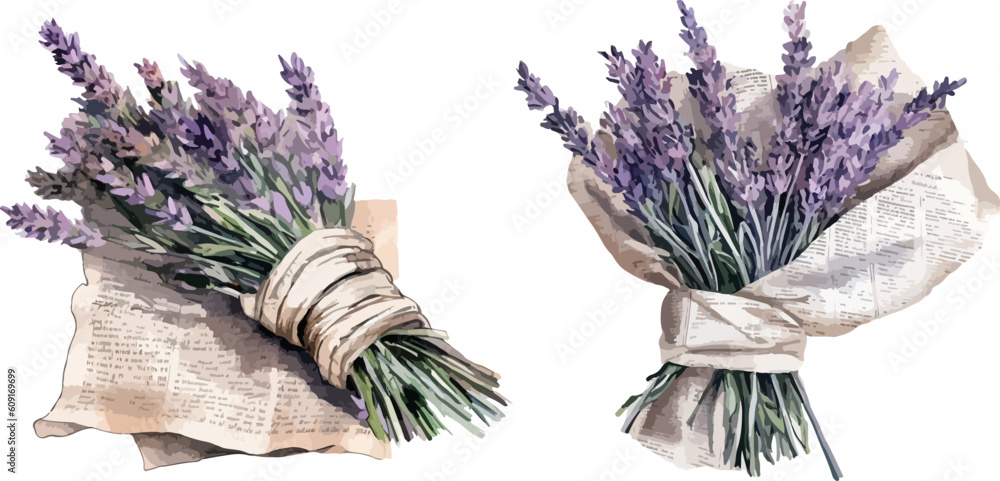 Bouquet of lavender clipart, isolated vector illustration. Stock Vector ...