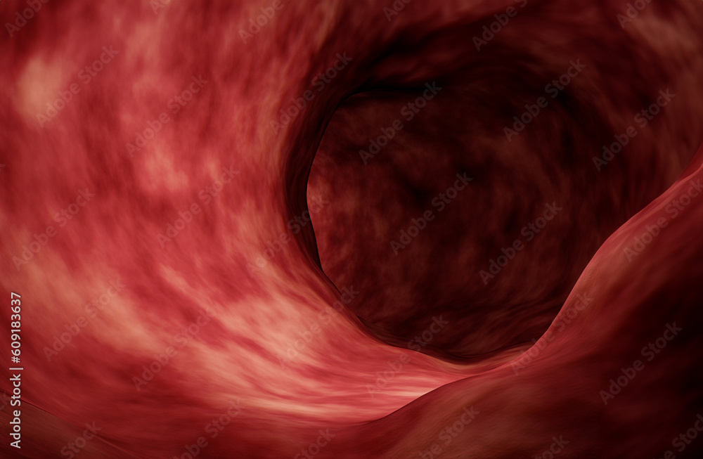 Concept Internal Veins in human or animal body. Internal Veins without ...