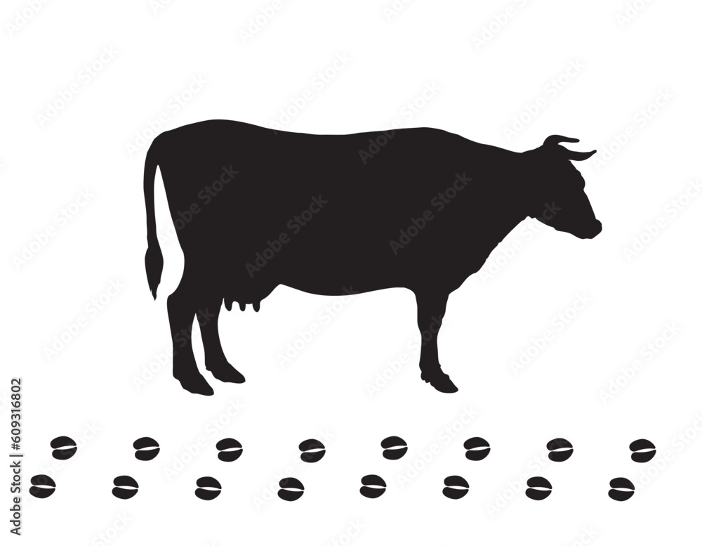Cow silhouette and cow trail and track isolated on white background ...