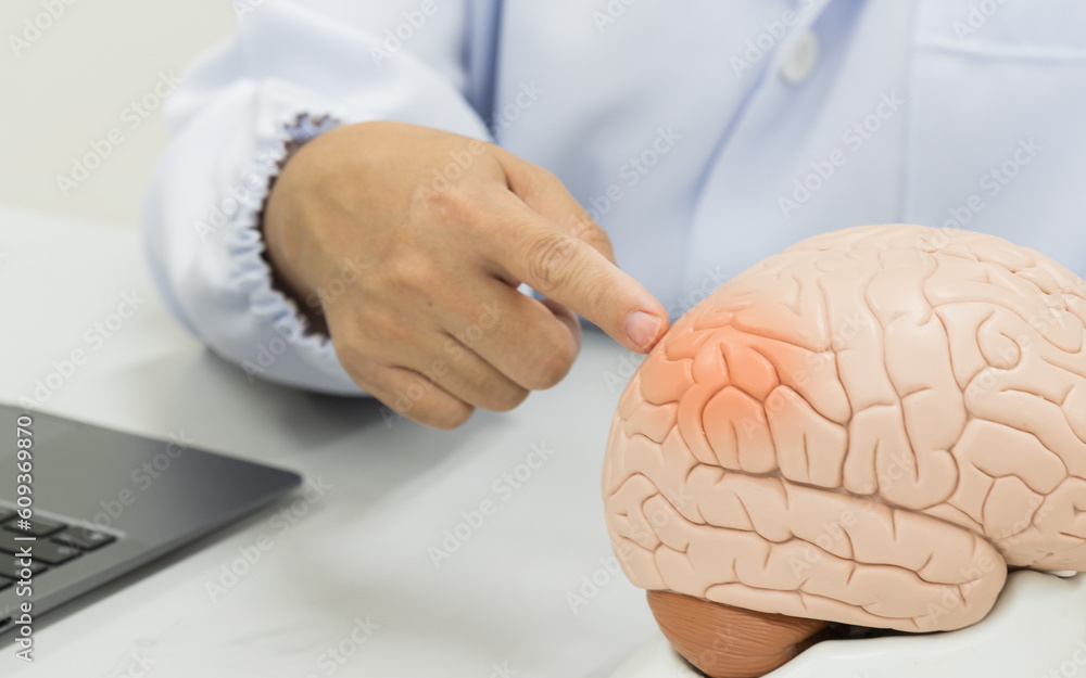 Neurologist hand pointing brain anatomy human model and brain disease ...