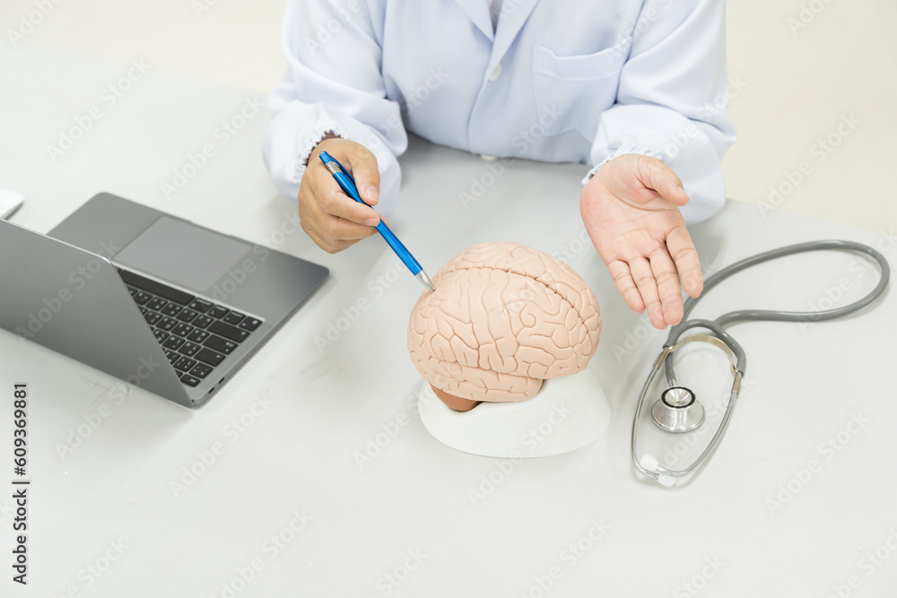 Neurologist hand pointing brain anatomy human model and brain disease ...