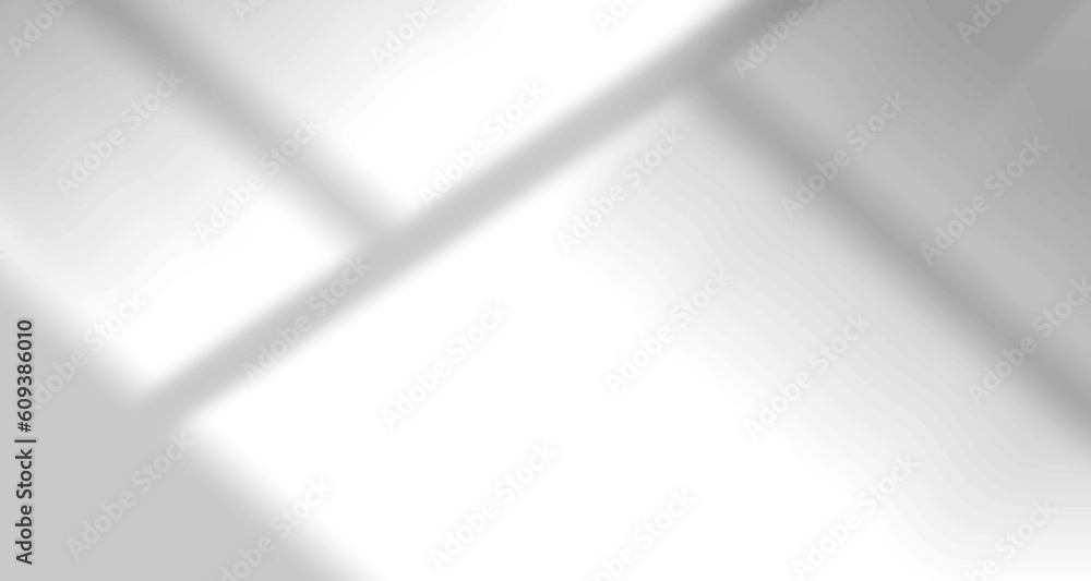 Realistic blurred natural light leaves, palm and window shadow overlay ...