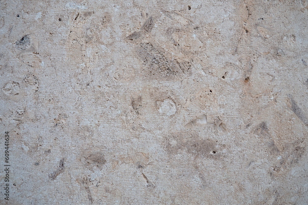 Shell rock is a sedimentary rock. One of the varieties of limestone ...