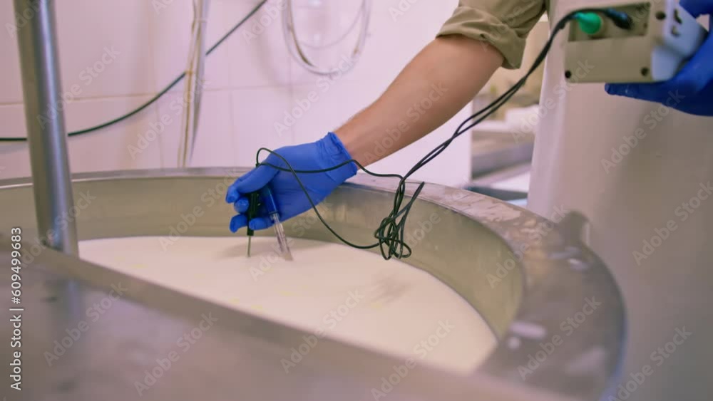 An employee measures the temperature of milk being pasteurized in a vat ...
