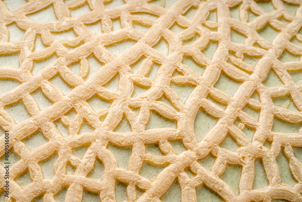 Close up view Crown Musk Melon texture, Shizuoka Crown Melon Yama Grade ...