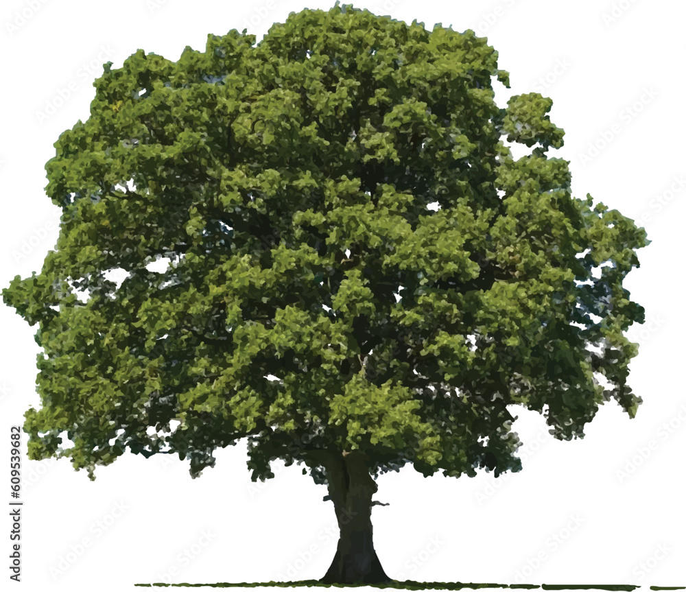 Tree PNG on transparent background with shadow Stock Vector | Adobe Stock