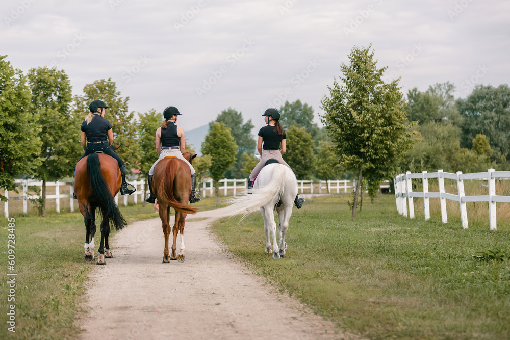 Horsewomen riding beautiful horses along the trail at the equestrian ...