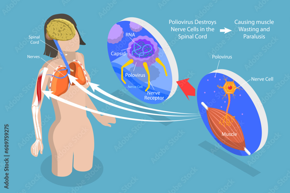 Vetor de 3D Isometric Flat Vector Conceptual Illustration of ...