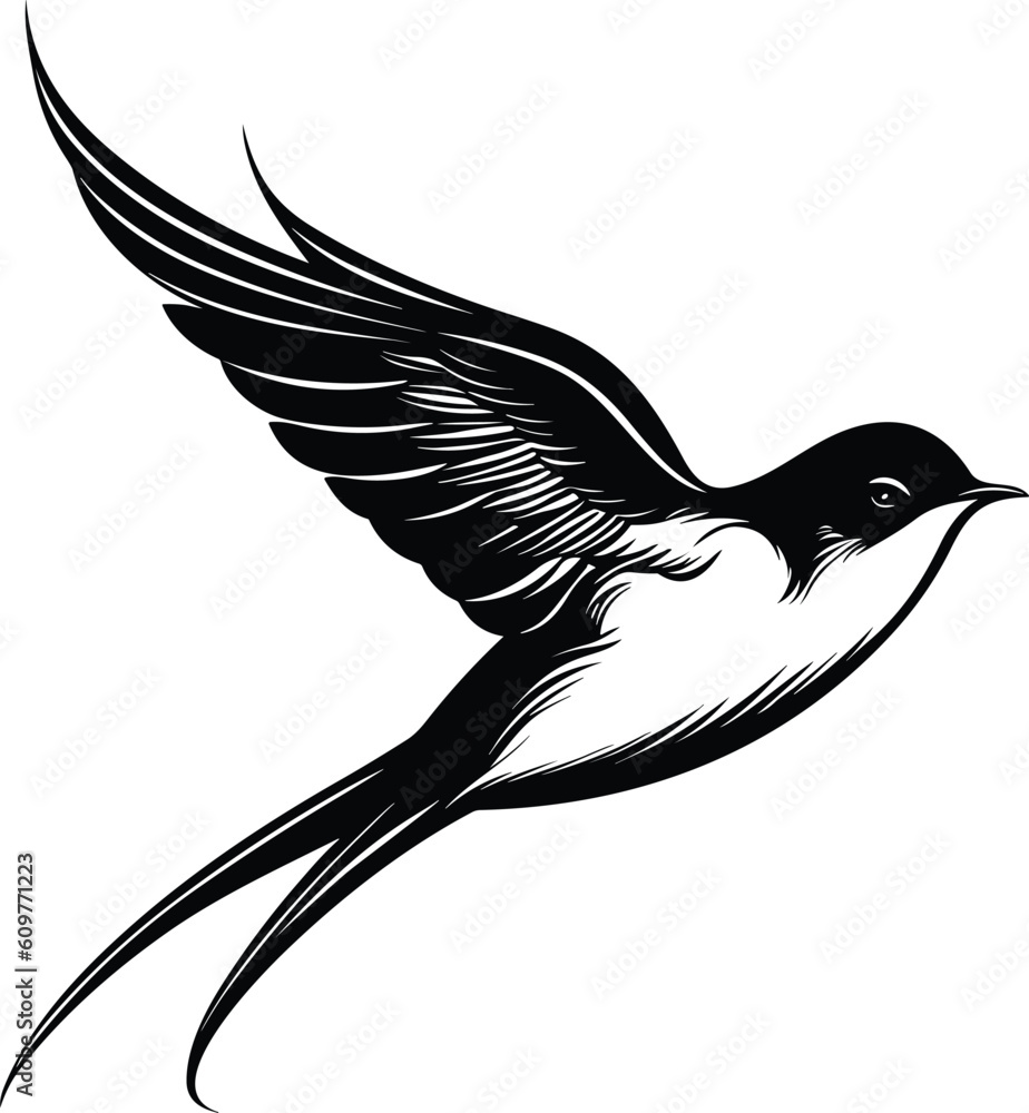 Barn swallow illustration of vector design isolated on white background ...