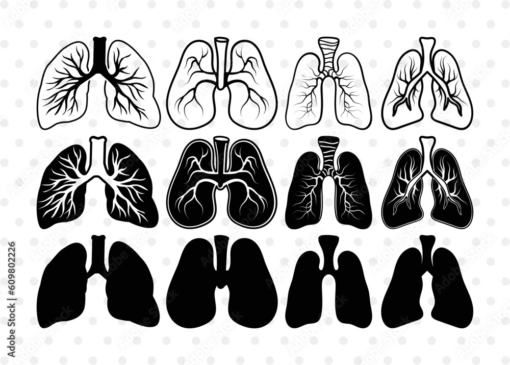 Human Lung Silhouette, Human Lung SVG, Lung Svg, Human Organ Svg, Lung ...