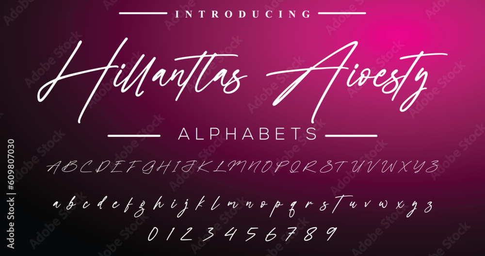 Hand drawn vector alphabet. Script font. Isolated letters written with marker, ink. Calligraphy ...