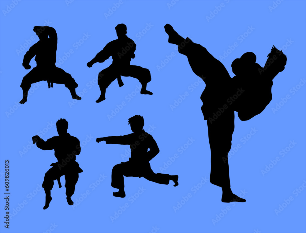 Karate kick and poses of karate techniques. Martial arts. This vector ...