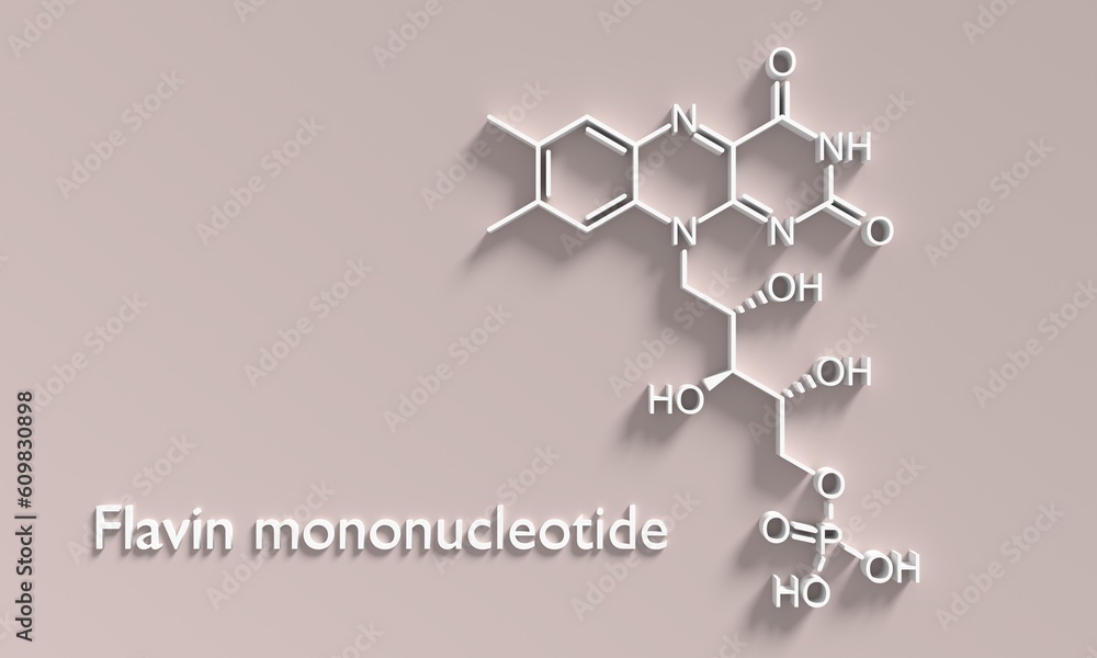Chemical formula of flavin mononucleotide. Skeletal formula. 3D render. Stock Illustration ...