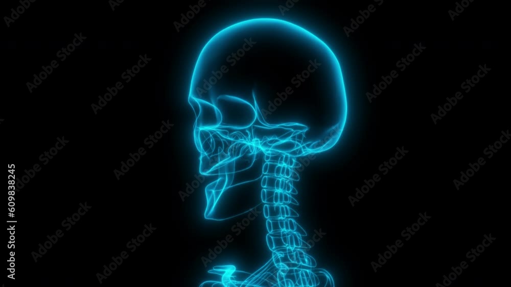 3D Holographic X-Ray Rotating View of Human Head Skull with Neck ...