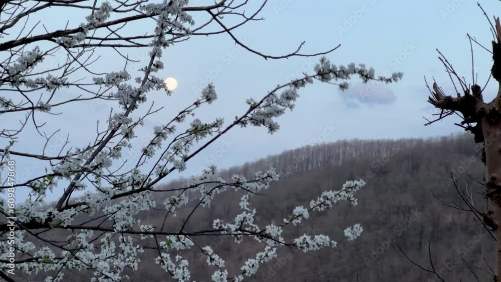 Full moon scene view from rural village town in the northern Iceland ...