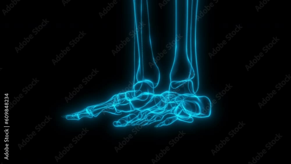3D Holographic X-Ray Rotating View of Human Skeleton Feet including ...
