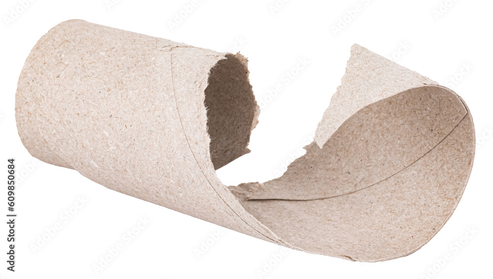 One single empty used ripped torn toilet paper roll made of recycled ...